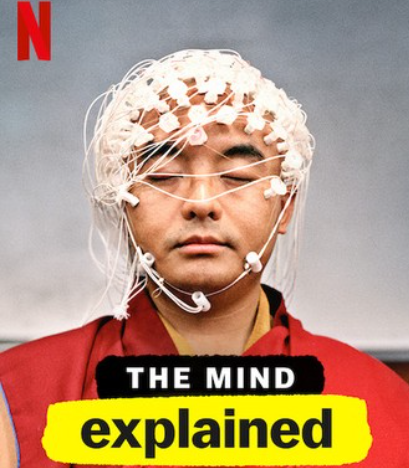Netflix – The mind explained – A mente explicada - Money Working